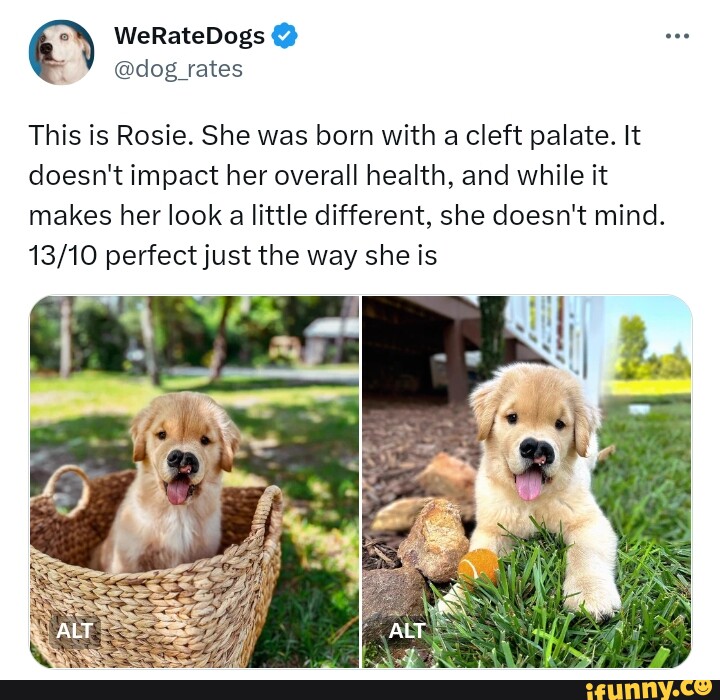 Cleft memes. Best Collection of funny Cleft pictures on iFunny