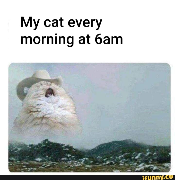 Big_enough_meme memes. Best Collection of funny Big_enough_meme ...