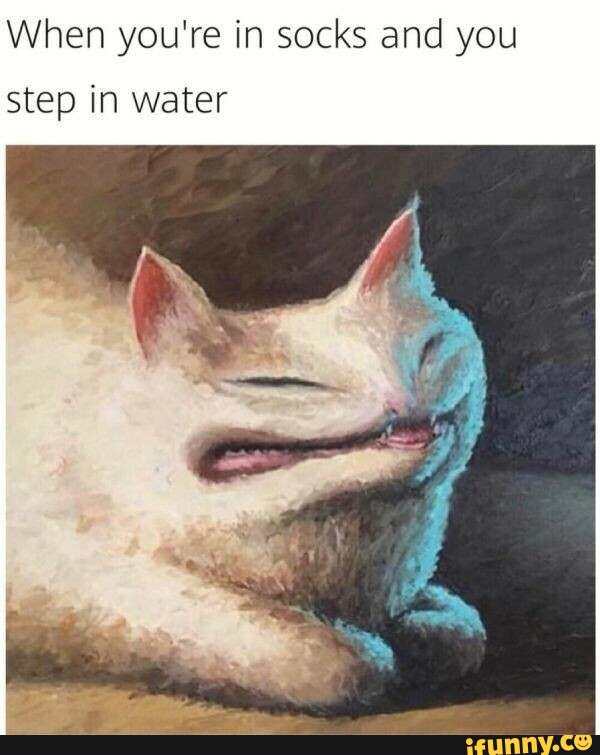 Socks memes. Best Collection of funny Socks pictures on iFunny