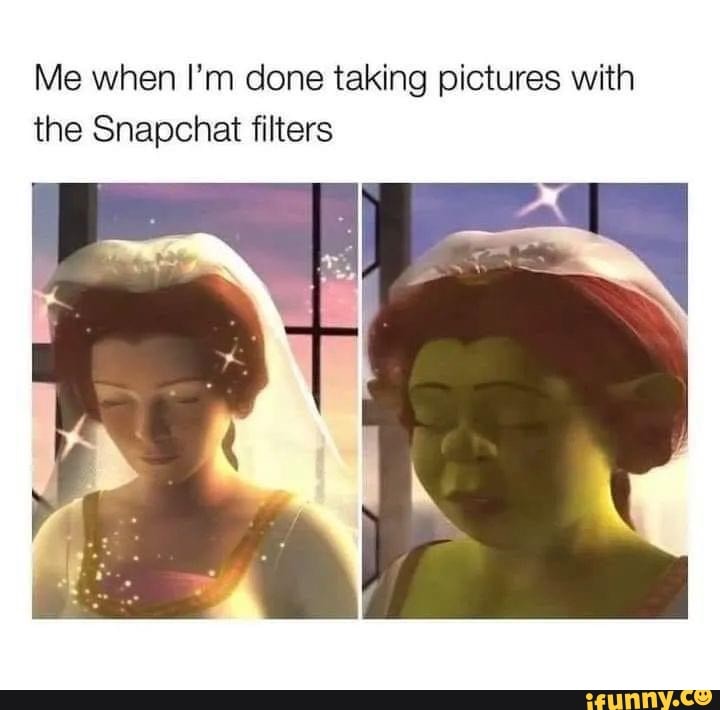 Me when I'm done taking pictures with the Snapchat filters - iFunny