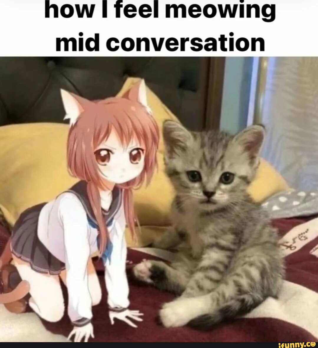 RIP lve done my duties Paddington, please take me to my husband - iFunny