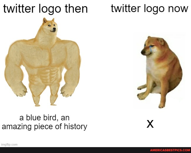 Twitter logo then twitter logo now a blue bird, an amazing piece of ...