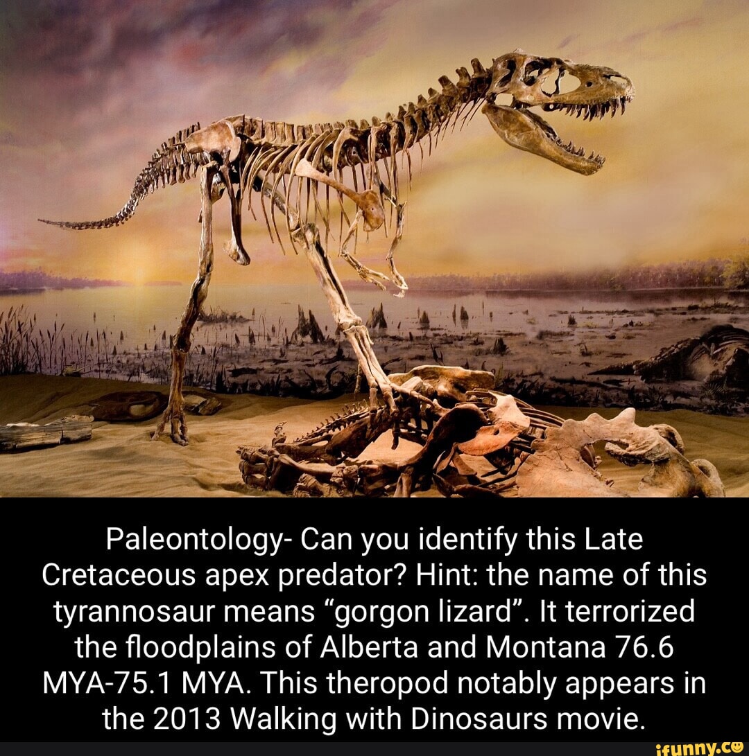 Paleontology- Can you identify this Late Cretaceous apex predator? Hint ...