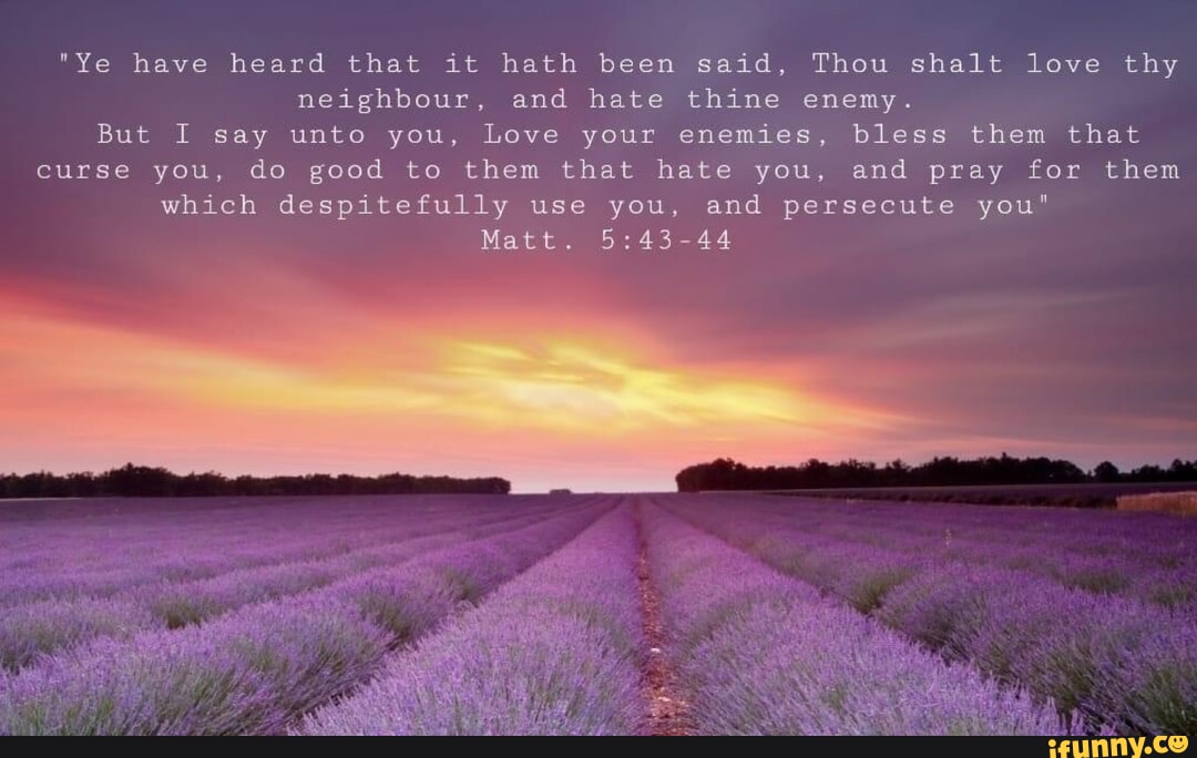 Persecute memes. Best Collection of funny Persecute pictures on iFunny