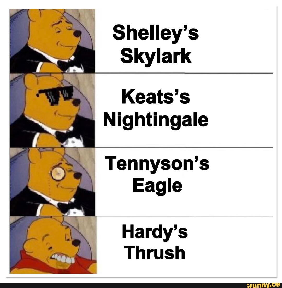 Nightingale memes. Best Collection of funny Nightingale pictures on iFunny
