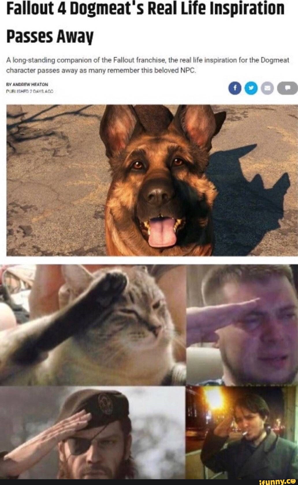 Fallout 4 Dogmeat s Real Life Inspiration Passes Away A long standing ...