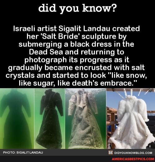 Did you know? Israeli artist Sigalit Landau created her 'Salt Bride ...