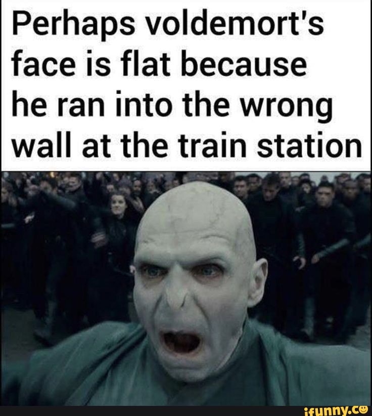 Perhaps voldemort's face is flat because he ran into the wrong wall at ...