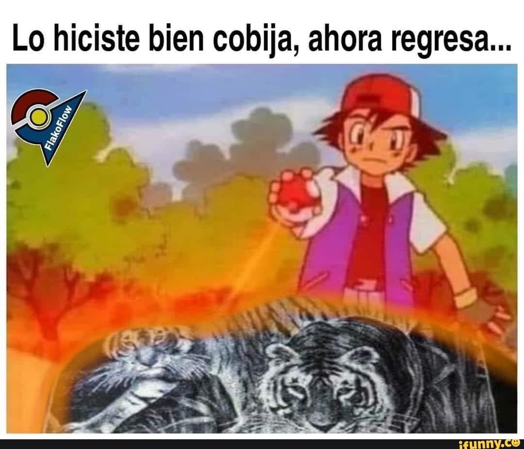 Regresa memes. Best Collection of funny Regresa pictures on iFunny