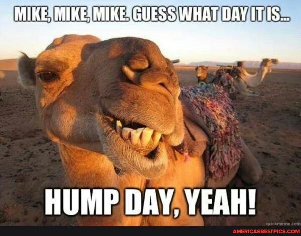 MIKE. MIKE MIKE: GUESS WHAT DAY ITIS... HUMP DAY, YEAH! - America’s best pics and videos