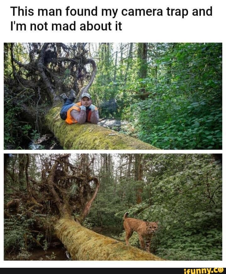 This man found my camera trap and I'm not mad about it - iFunny