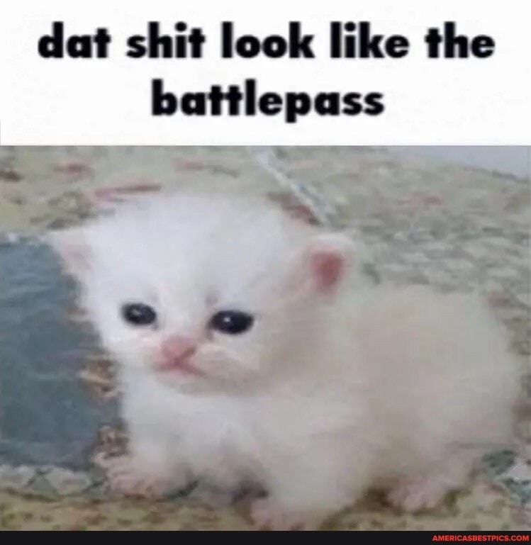 Dat shit look like da battle pass - dat shit look like the battlepass ...