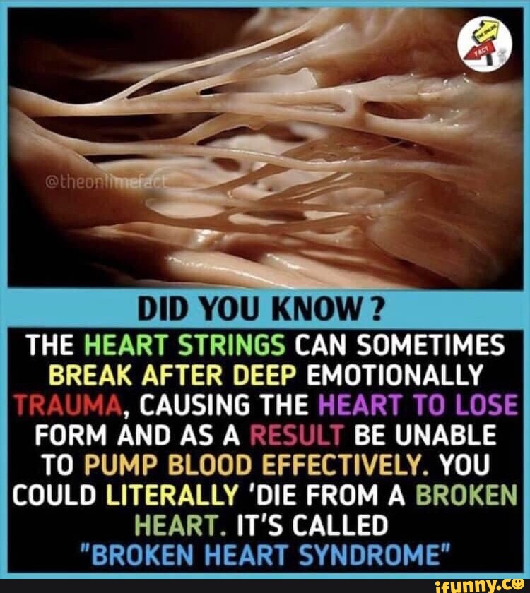 DID YOU KNOW ? THE HEART STRINGS CAN SOMETIMES BREAK AFTER DEEP ...