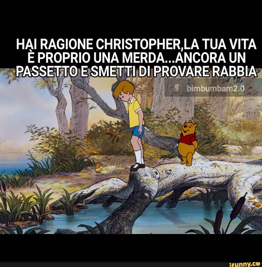 Merda memes. Best Collection of funny Merda pictures on iFunny