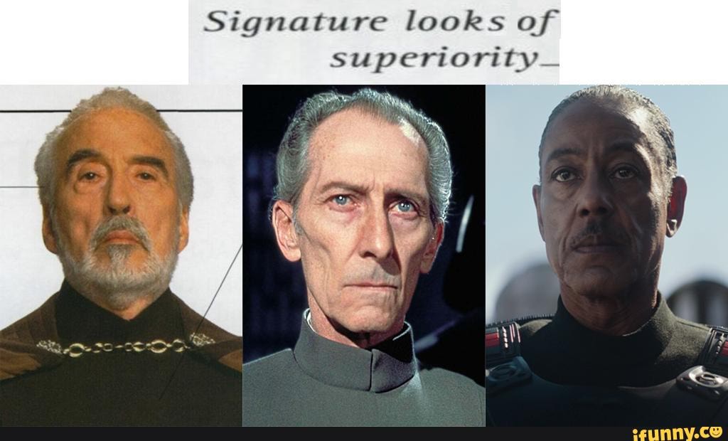 Signature looks of superiority - iFunny