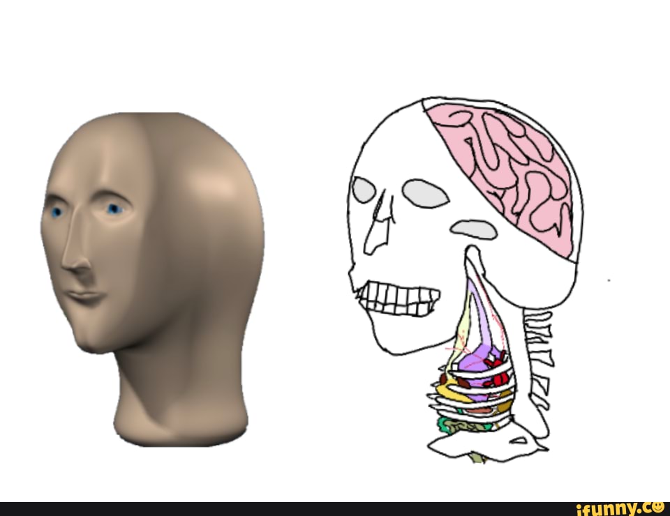 Anatomi memes. Best Collection of funny Anatomi pictures on iFunny