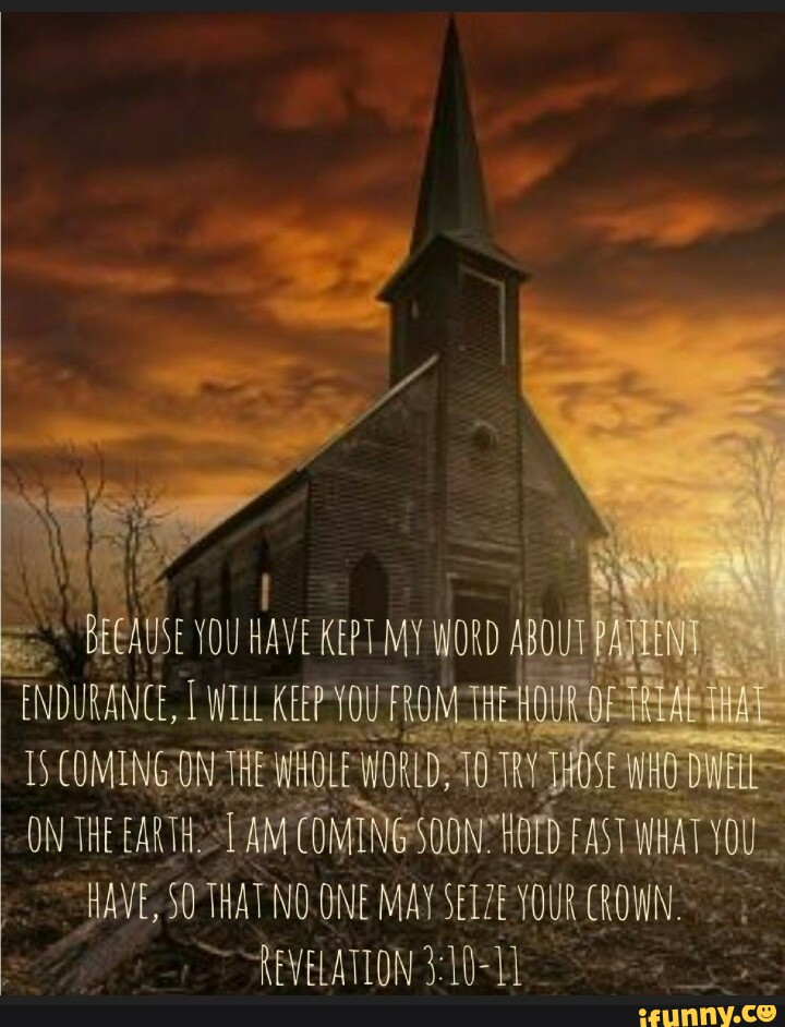 Abo memes. Best Collection of funny Abo pictures on iFunny