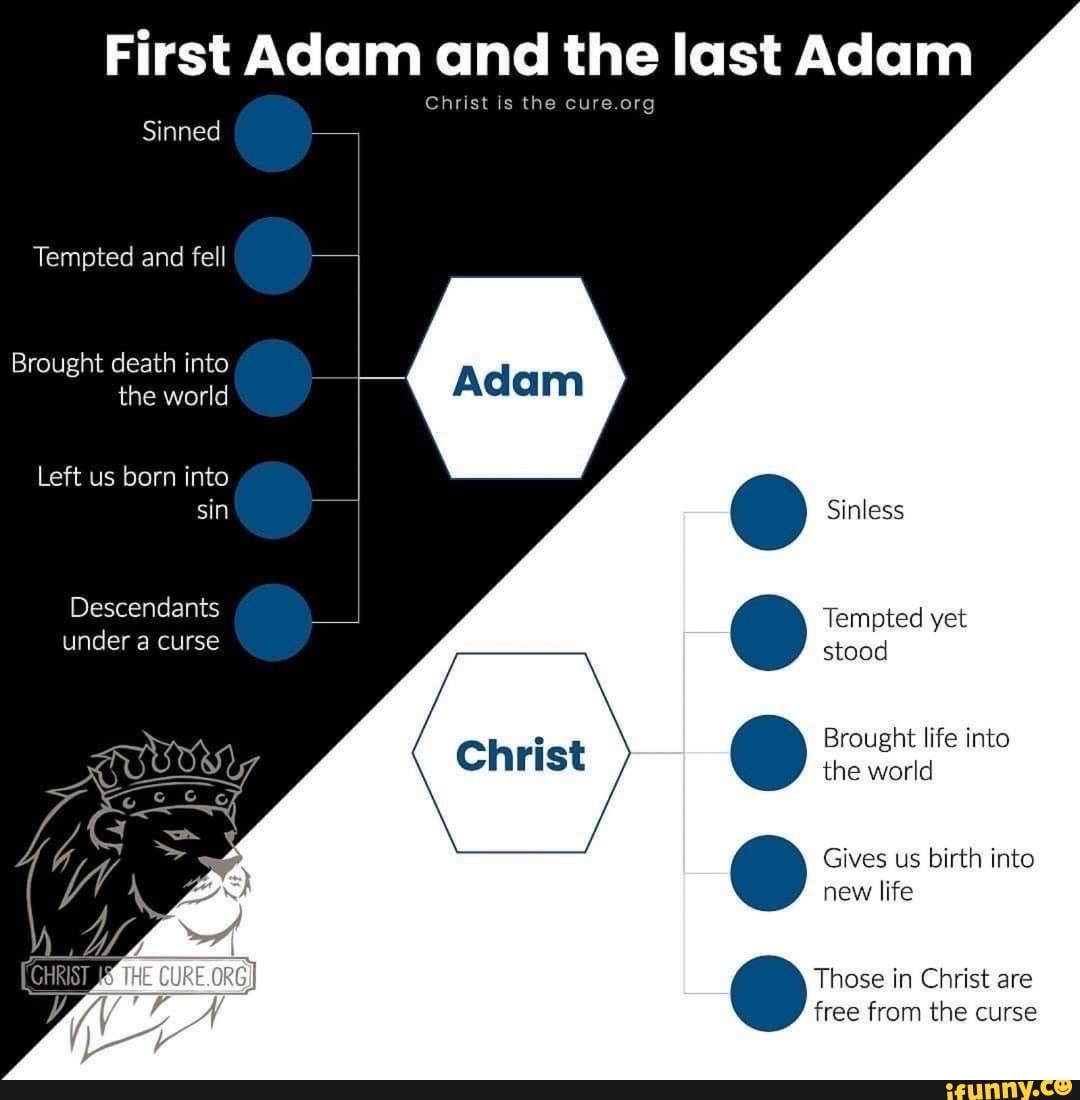 First Adam and the last Adam Christ is the Sinned Tempted and fell ...