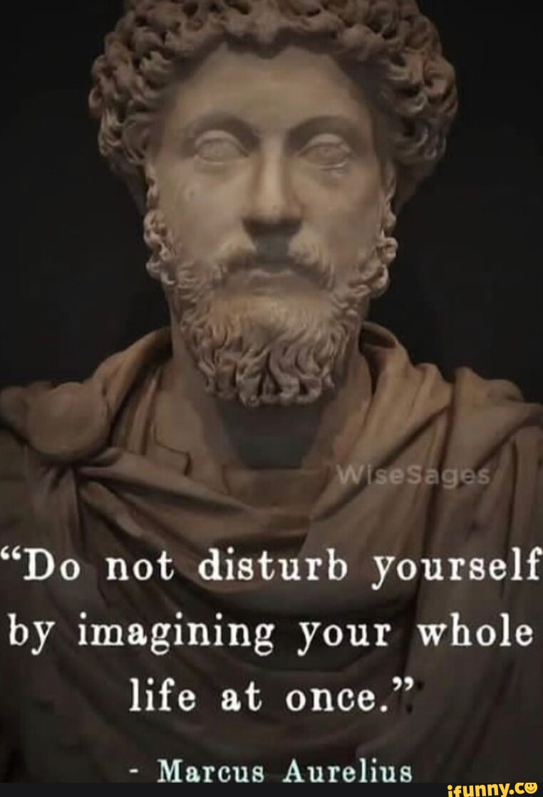 "Do not disturb yourself by imagining your whole life at once ...