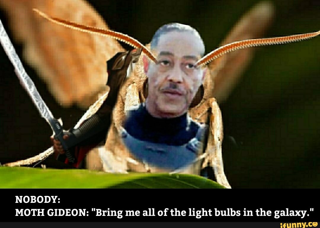NOBODY: MOTH GIDEON: "Bring me all of the light bulbs in the galaxy ...