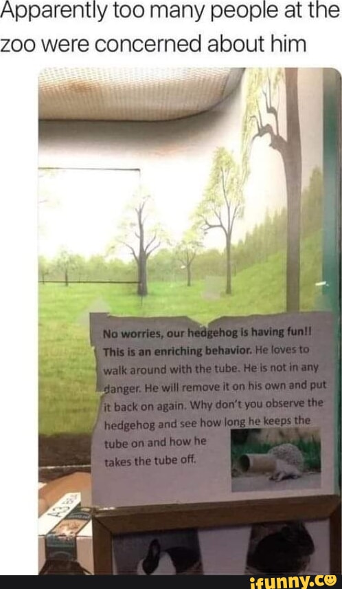 Apparently too many people at the ZOO were concerned about him ow 'This ...