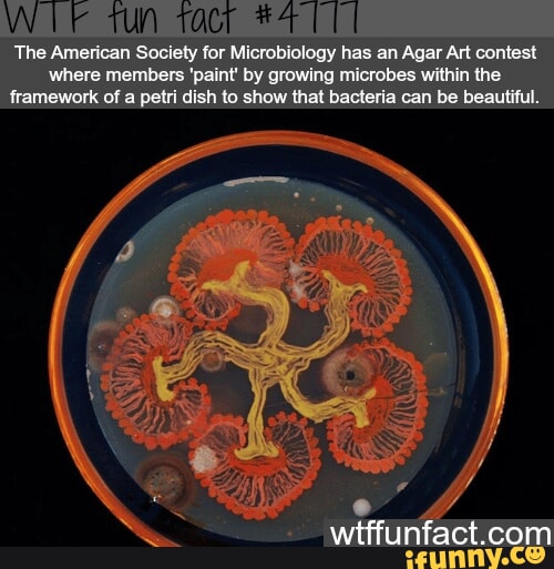 Microbiology memes. Best Collection of funny Microbiology pictures on ...