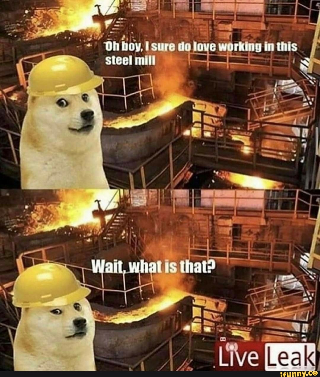 Wart memes. Best Collection of funny Wart pictures on iFunny