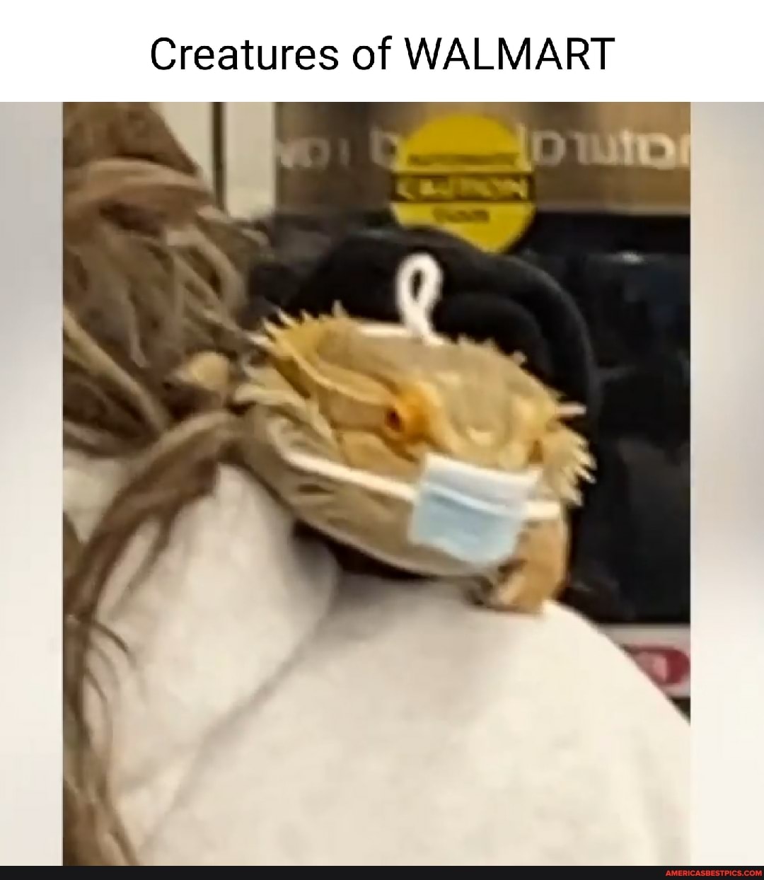Creatures of WALMART - America’s best pics and videos