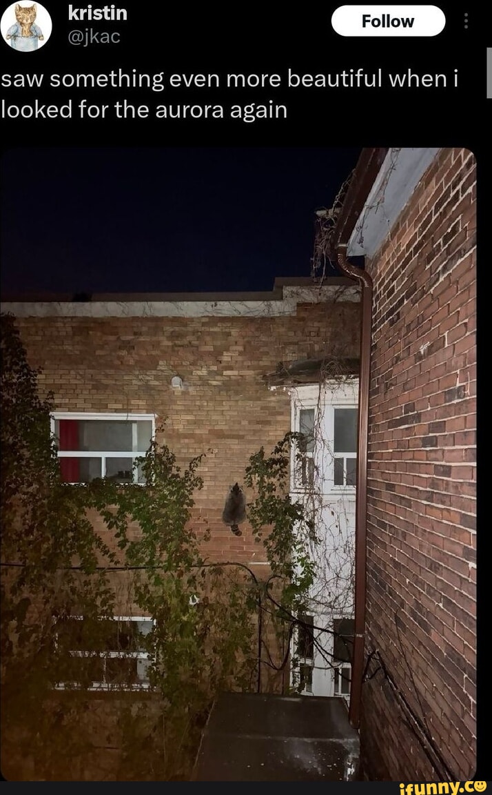 Just a few science memes for good mood - FORMALDEHYDE CASUAL- DEHYDE ...