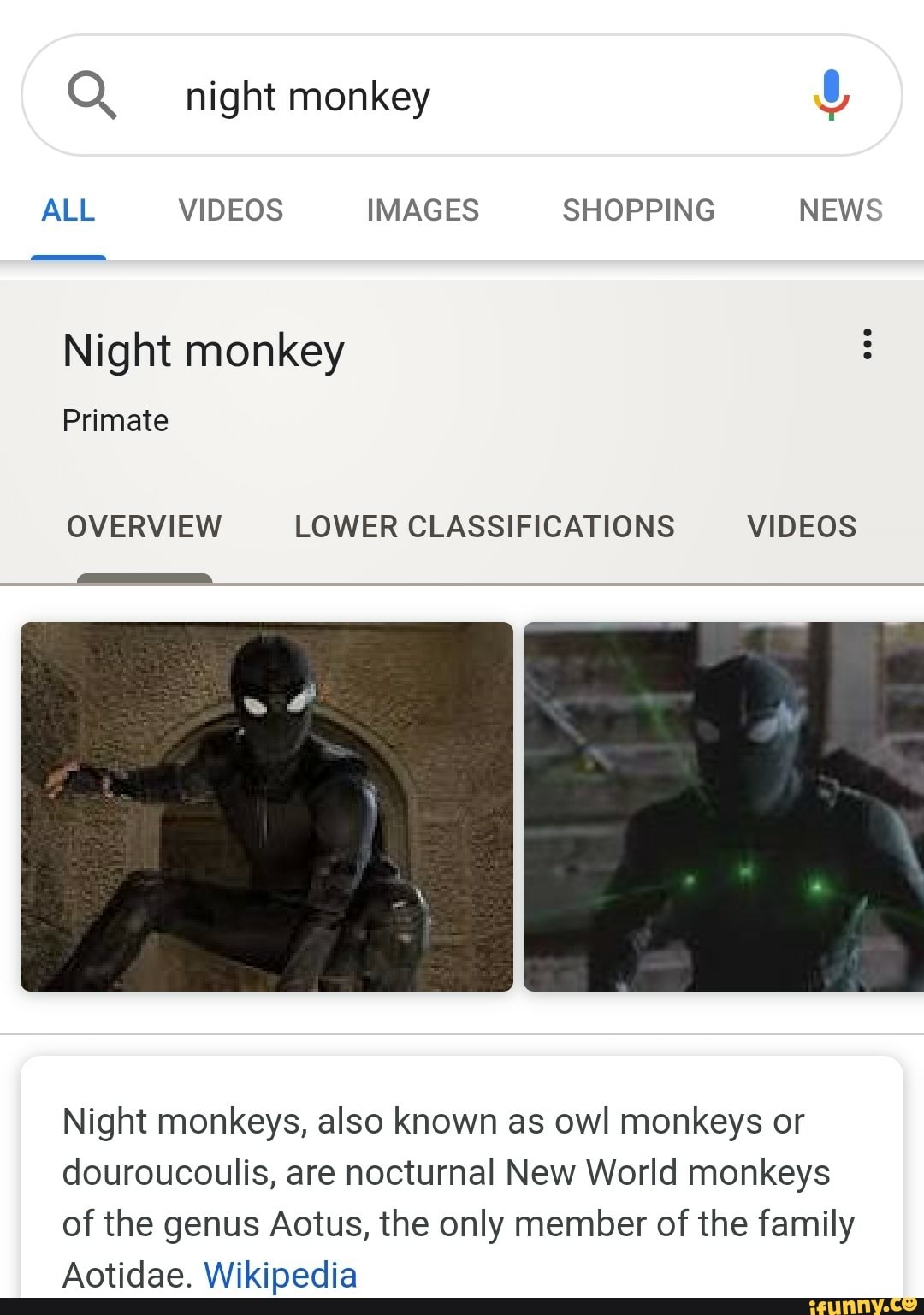 Nightmonkey memes. Best Collection of funny Nightmonkey pictures on iFunny