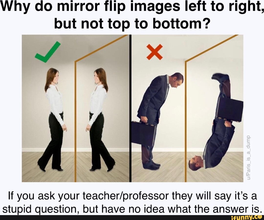 Why do mirror flip images left to right, but not top to bottom? If you ...