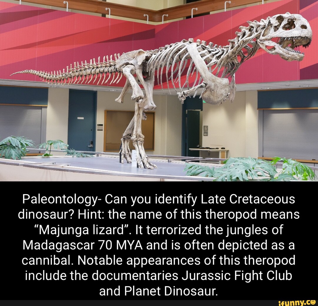 Cretaceous memes. Best Collection of funny Cretaceous pictures on iFunny