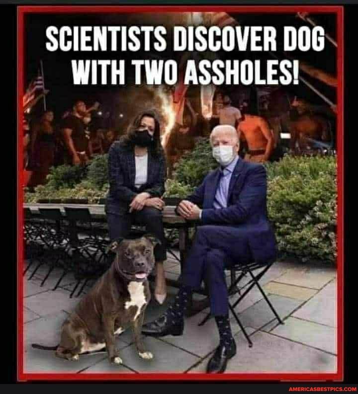 SCIENTISTS DISCOVER DOG. WITH TWO ASSHOLES - America’s best pics and videos