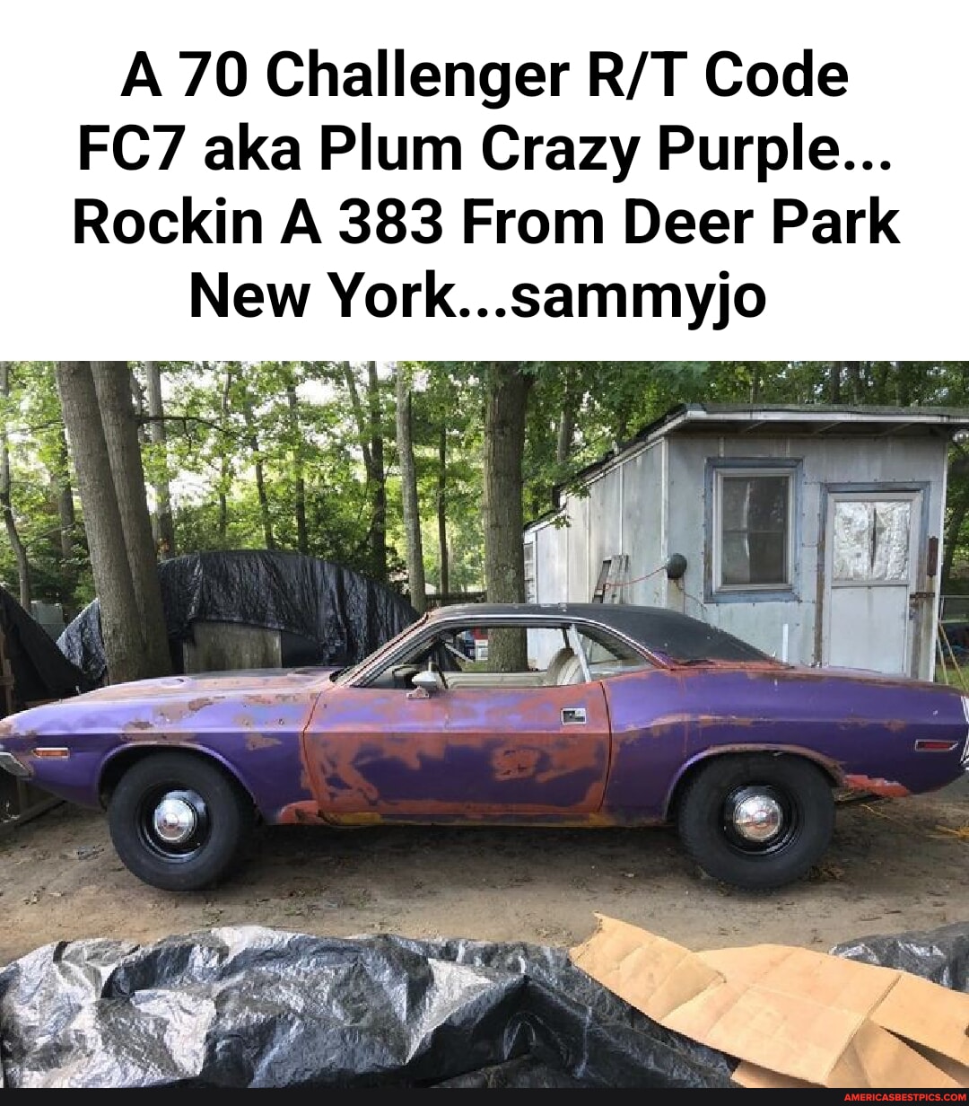 A 70 Challenger Code aka Plum Crazy Purple... Rockin A\ 383 From Deer ...