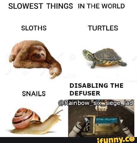 Ixesiegewlad memes. Best Collection of funny Ixesiegewlad pictures on ...