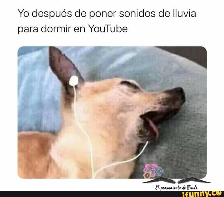 Sonidos memes. Best Collection of funny Sonidos pictures on iFunny