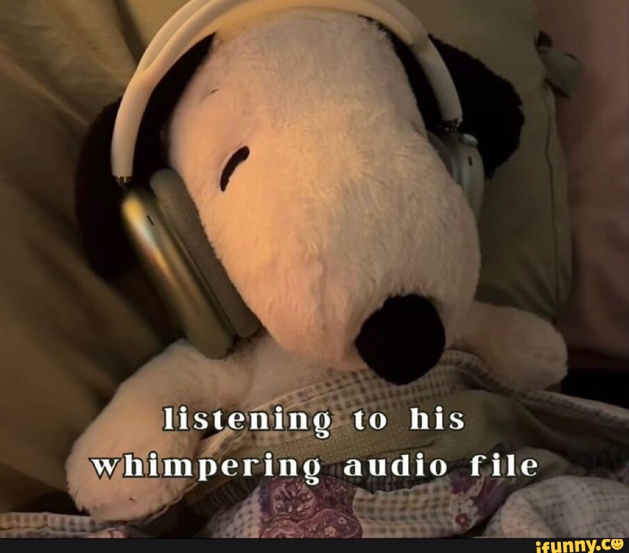 Whimpering memes. Best Collection of funny Whimpering pictures on iFunny