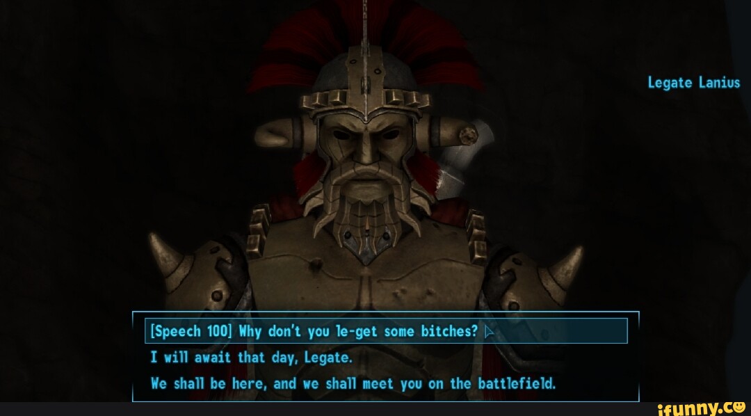 Nobitches memes. Best Collection of funny Nobitches pictures on iFunny