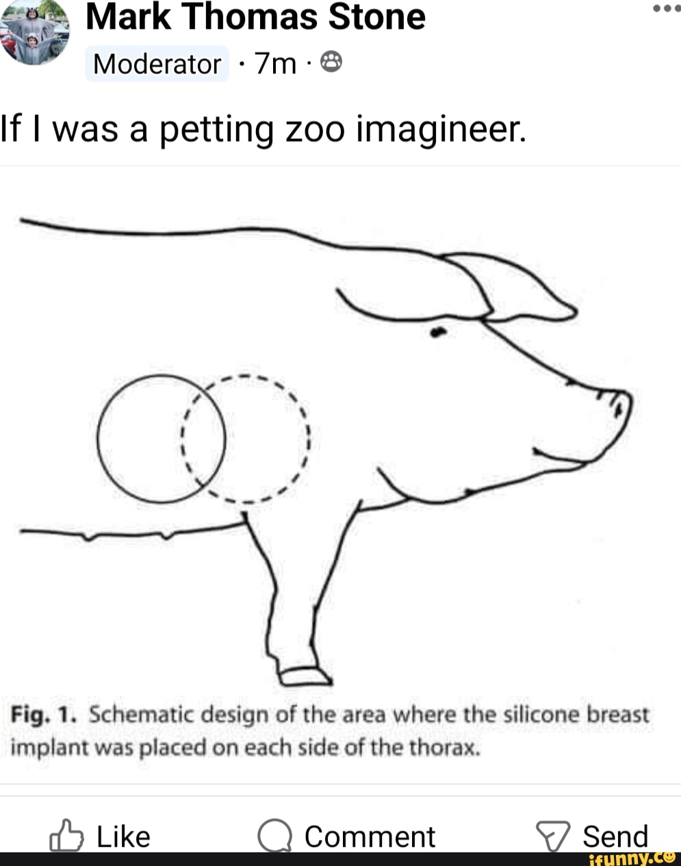 Thorax memes. Best Collection of funny Thorax pictures on iFunny