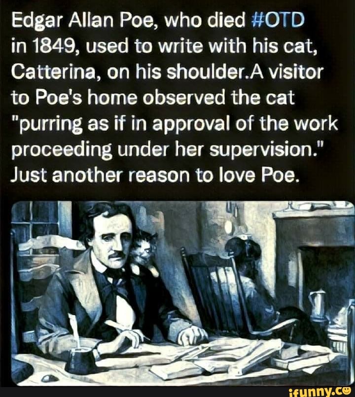 Poes memes. Best Collection of funny Poes pictures on iFunny