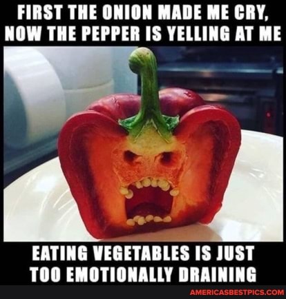FIRST THE ONION MADE ME CRY, NOW THE PEPPER IS YELLING AT ME EATING ...