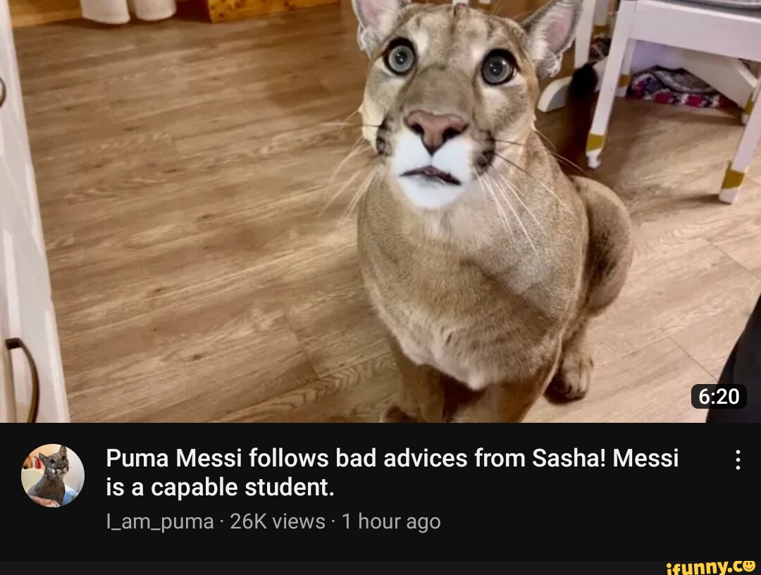 Puma Messi follows bad advices from Sasha! Messi is a capable student ...