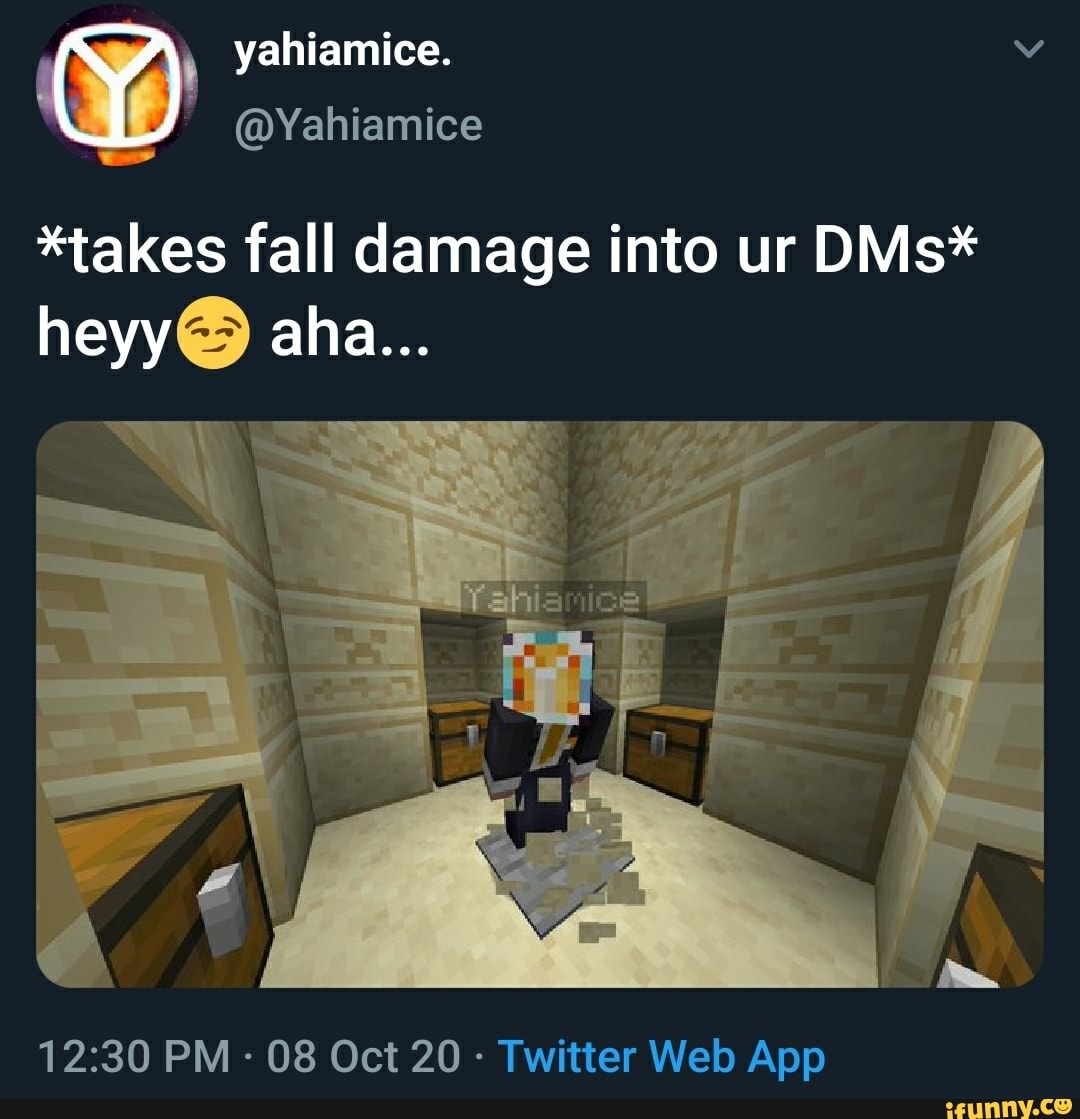 @Yahiamice *takes fall damage into ur DMs* aha... - iFunny
