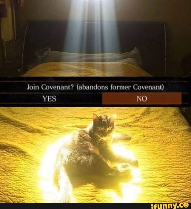Join Covenant? (abandons former Covenant) YES NO - iFunny