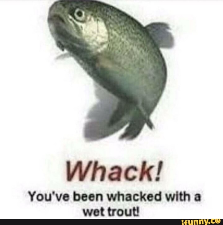 Whack! You've been whacked with wet trout! - iFunny