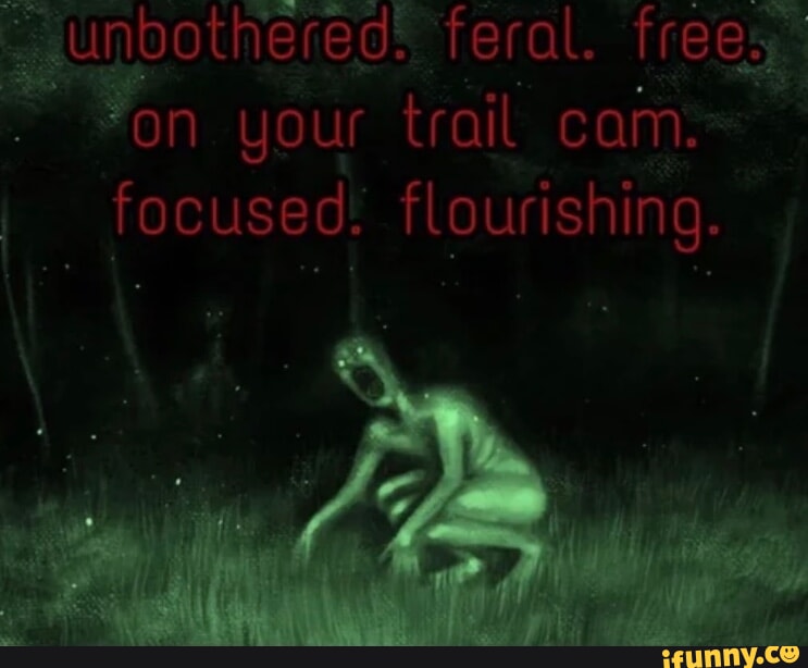 Flourishing memes. Best Collection of funny Flourishing pictures on iFunny
