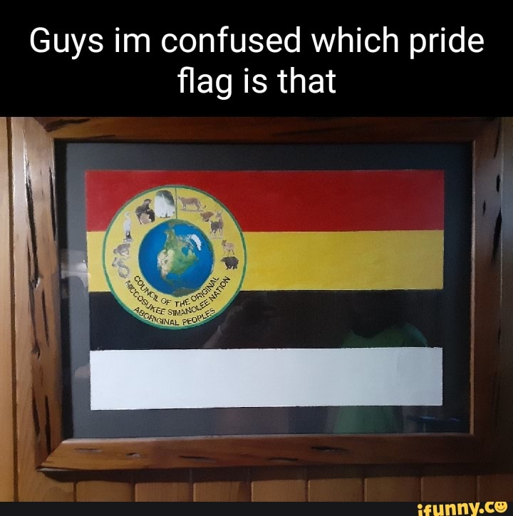 Guys im confused which pride flag is that - iFunny
