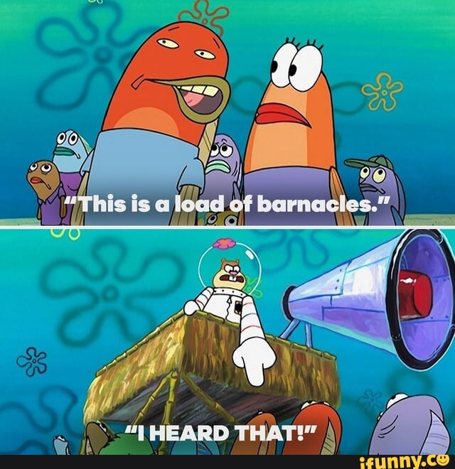 Barnacles memes. Best Collection of funny Barnacles pictures on iFunny