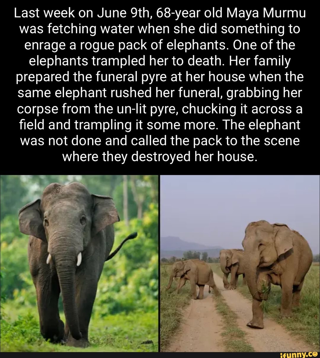 Last week on June 68-year old Maya Murmu was fetching water when she ...