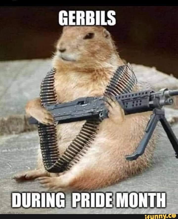 GERBILS DURING PRIDE MONTH - iFunny